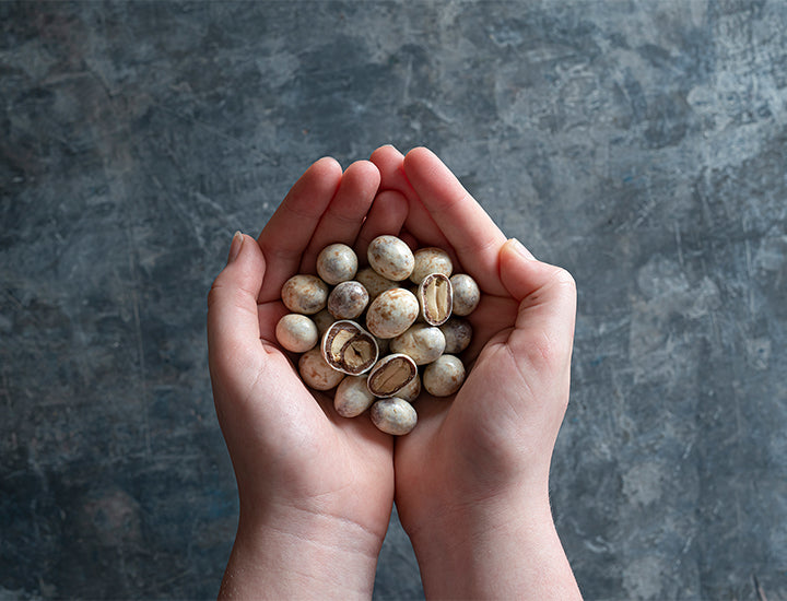 Handcrafted confectionery made in the heart of Brisbane – New Farm ...